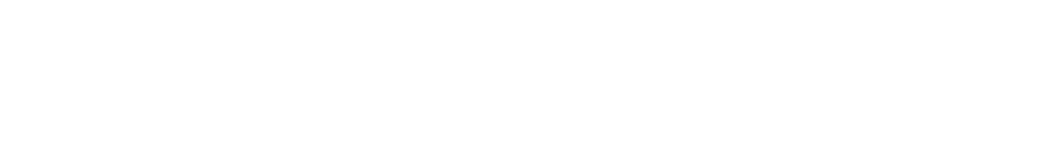 Nisshin Seifun Group - Allied Pinnacle