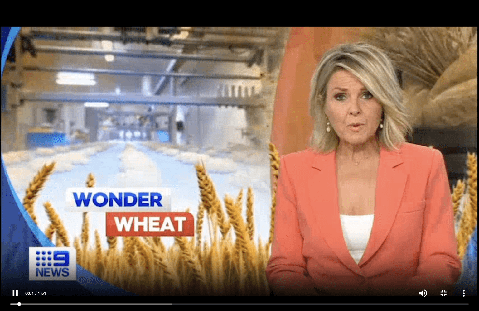 Watch the exclusive 9News Wise Wheat story - Allied Pinnacle